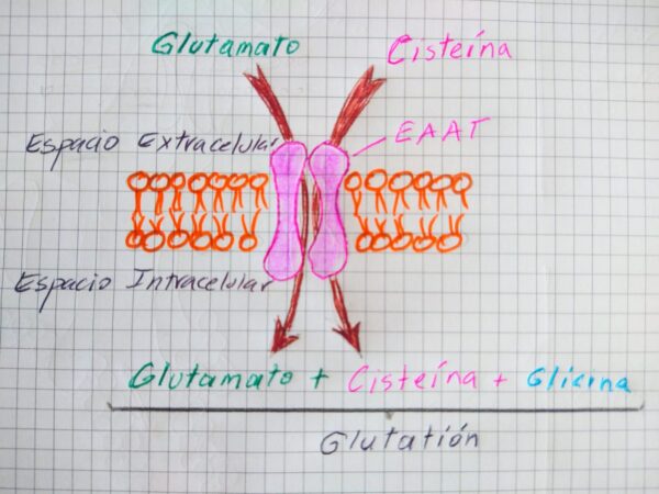 Glutatión | Tienda Naturista